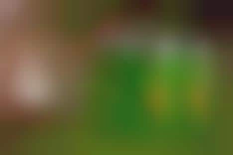 Nitro Cocktail - Nitrogen infusions in cocktails are able to enhance ...