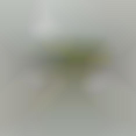 Greenery-Integrated Tables : Green Glass table