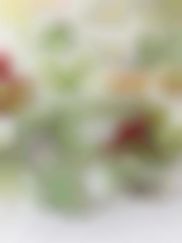 Spring-Inspired Tea Sets : fleur collection