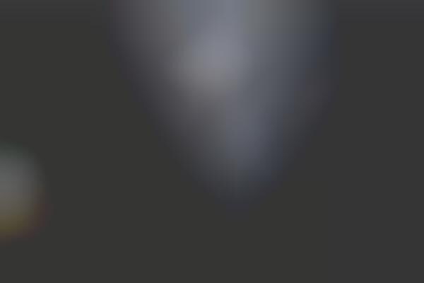 Turbo Steam-Powered Cookers : steam cooker