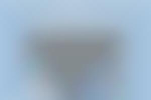 Sustainable Water Brands : ZEN WTR