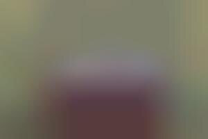 Eco-Friendly Hemp Flooring : HempWood floor panels