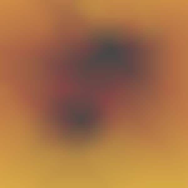 Work-from-Home Cardboard Desks : cardboard desk