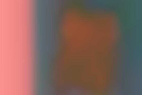 Mushroom-Based Meatless Bacon : alternative to bacon