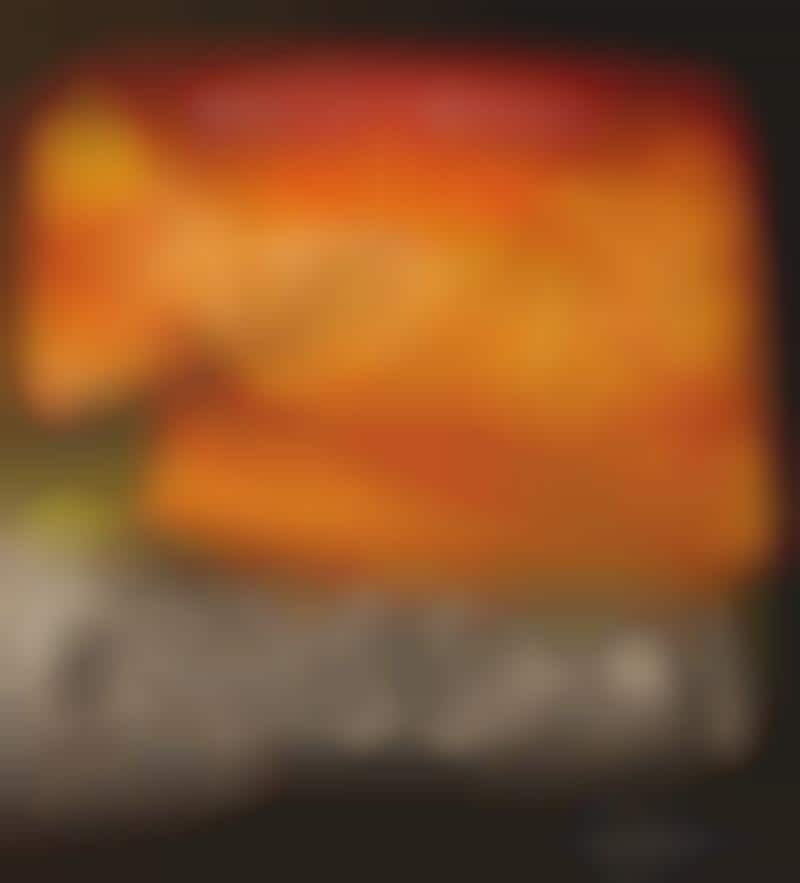 70 Pizza Flavor Innovations