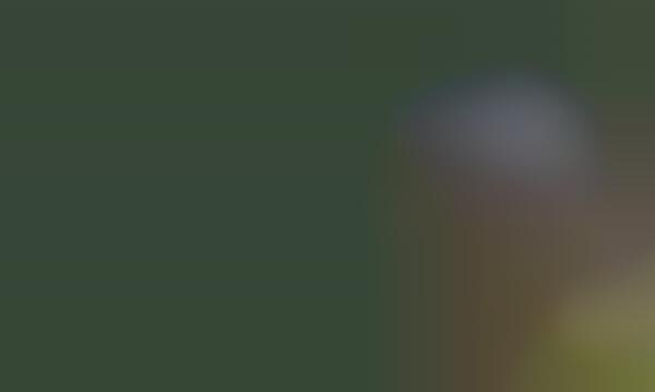 Pre-Built Mini-Offices : mini office