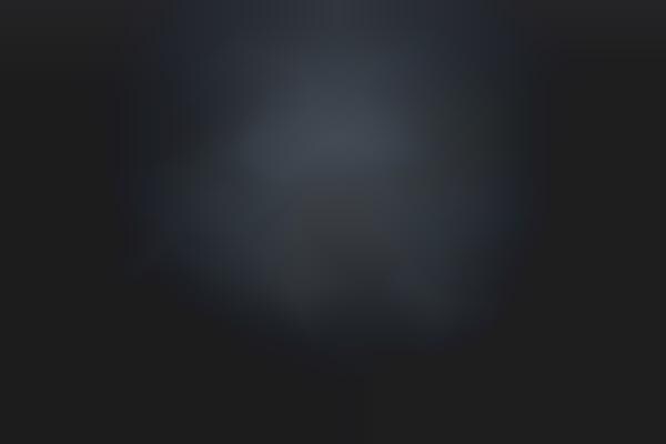 Skeleton-Inspired Aerial Drones : Skeleton Drone