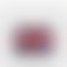 Union Jack Toasters : Smeg 2-Slice Toaster