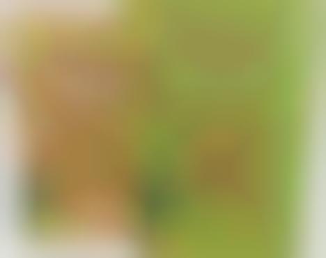 Crunchy Avocado Crisps : Avocado Crisps