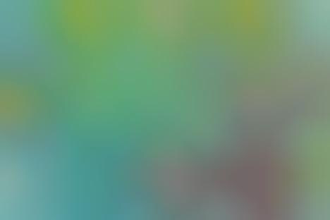 Food-Themed Face Masks : MaskClub