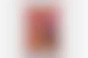 Unexpectedly Bold Chip Flavors : Crunchips Wow