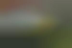 Lockable Garbage Bin Accessories : garbage bin lid stopper