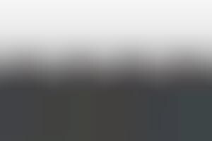 Targeted Probiotic Supplements : SBO Probiotics