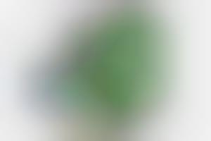 Rotating Controlled Gardens : gi grow