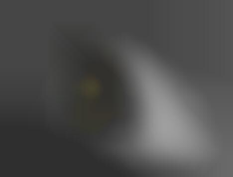 Sculptural Coal-Made Artwork : coal artwork