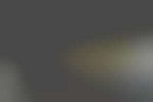 Vision-Enhancing Vehicle Visors : See Through Sun Visor