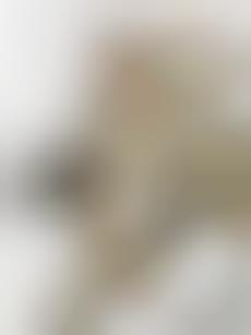 Bejeweled Animal Skeletons: Jessica Joslin's Macabre Art Bone Creatures