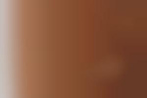 Tropical Building Materials: Coconut Wall Tiles Add a Touch of the Exotic