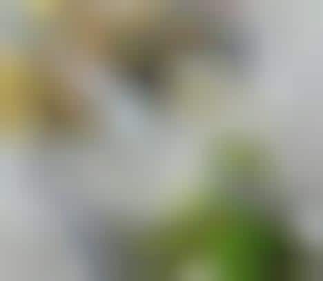 Creative Cooking Contraptions: Kitchen Supplies That Exemplify & Enable ...