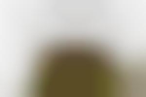 Portable Picnic Plates: Vicki Runnegar's Outdoor Party Platter Freshens ...