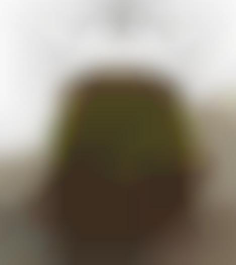 Portable Picnic Plates: Vicki Runnegar's Outdoor Party Platter Freshens ...