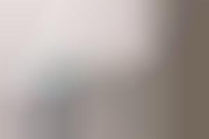 Algorithmic Perfumes : algorithmic perfumes