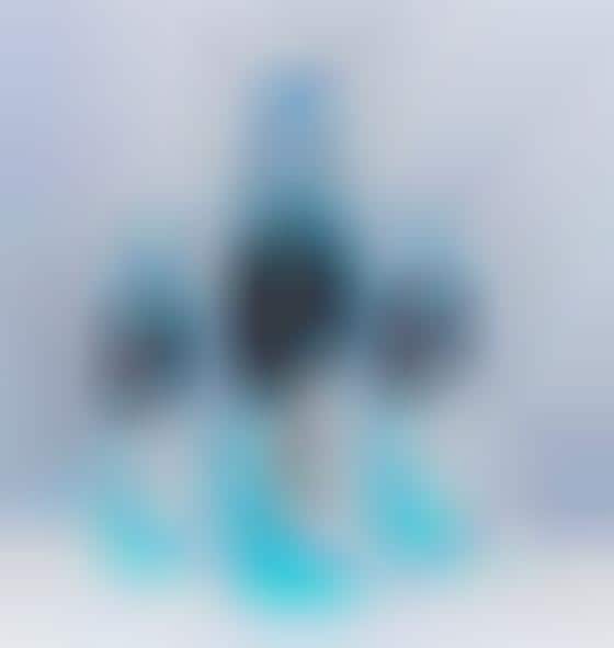 Recycled Plastic Bottled Waters : ZenWtr