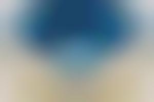 Scratch-Resistant Indoor Paints : paint primer