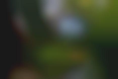 Sculpted Wooden Office Pods : Workstation Cabin