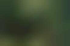 Dedicated Cubic Workspace Pods : Livit Studypod