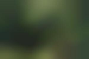 Dedicated Cubic Workspace Pods : Livit Studypod