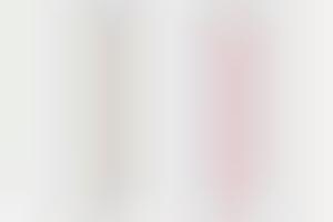 Flavorful Tequila Seltzers : Volley