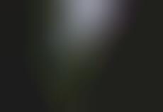 Charming Backyard Flex Structures : ‘A Room in the Garden’.