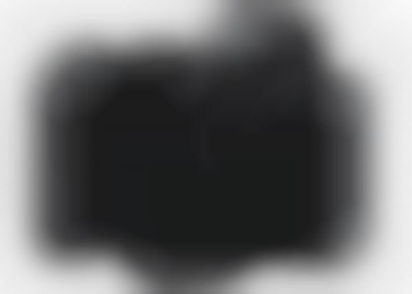 Stabilized Prosumer Cameras : Nikon Z 5