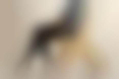 Foldable Dual-Function Seats : Kagu chair