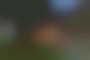 Prefab Flex Space Structures : prefab studio