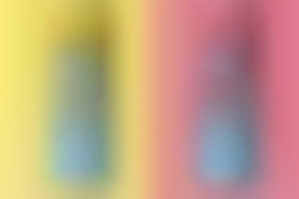 Fruit-Squeezed Water Beverages : Waju