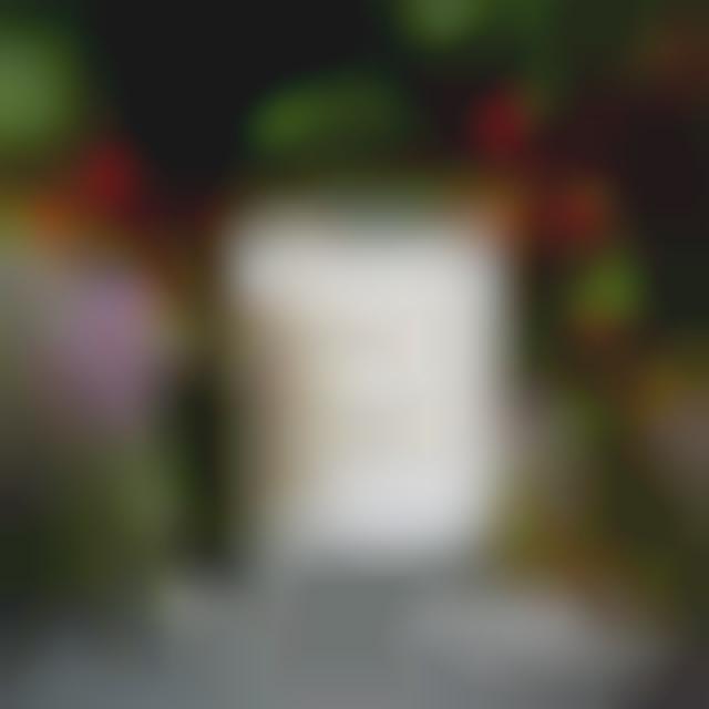 Scented Tomato Candles : Tomato Candle