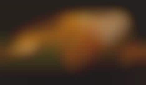 Cheesy French Fry Burritos : California Queso Burrito