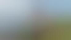Virtual Background Campaigns: Coors Light is Turning Video Chat ...