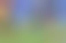 In-Game Voting Campaigns : democratic voting signs