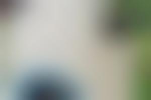 Anti-Microbial Packaging Films : anti-microbial packaging