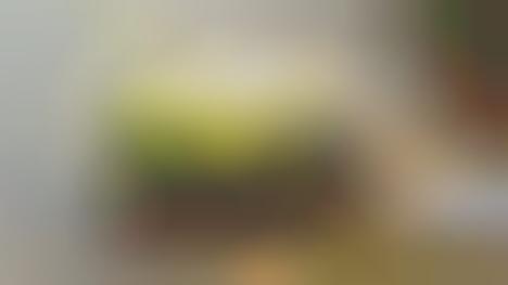 Smart Countertop Gardens : countertop garden