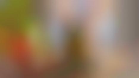 Home-Style Fermentation - DIY kits guide consumers through the process ...