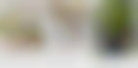 Plant Shop - Plant care workshops and classes help people hone plant ...