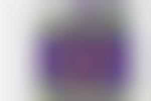 Reduced Packaging Chocolates : Cadbury Share Bags