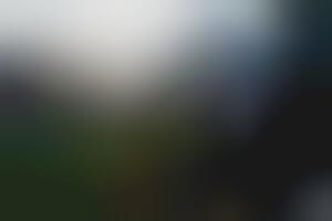 Robotic Baseball Cameras : Robotic Baseball Cameras