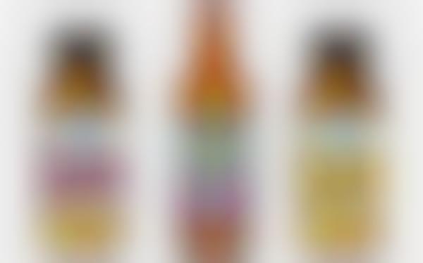 Health-Focused Kombucha Products : Lo Bros drinks