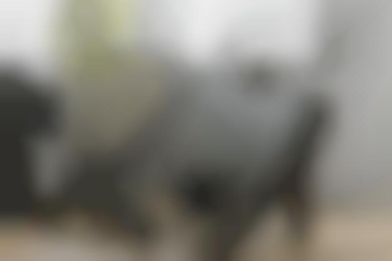 High-End Design Exercise Bikes : Shard Exercycle