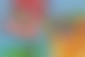 Insect-Infused Cracker Snacks : cracker bites